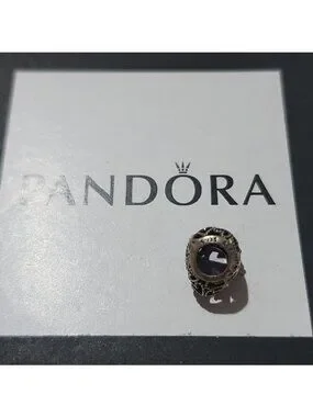 Pandora | Jewelry | Pandora Sterling Silver Family Heart Charm 79857c0 ...